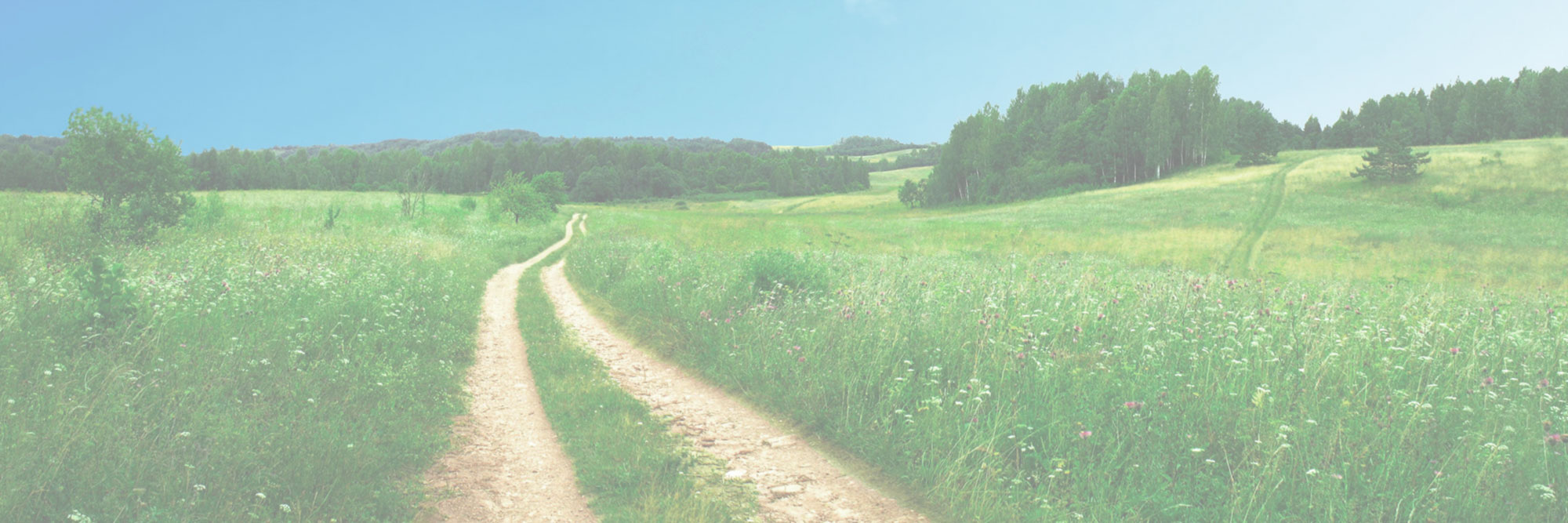 Plan Communal de Développement de la Nature - Commune de Floreffe